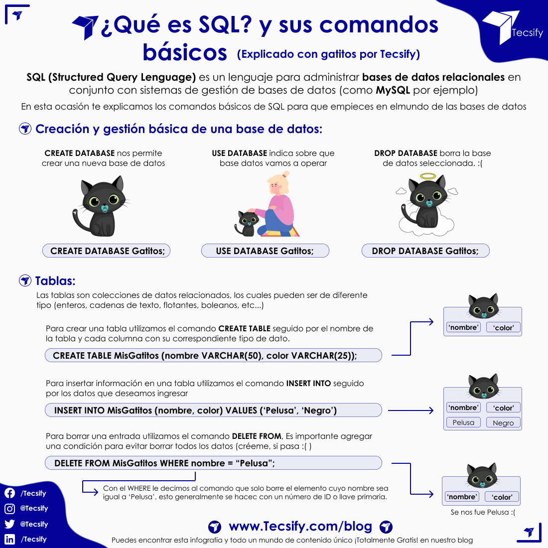 ¿Qué es SQL? y sus comandos básicos - Tecsify